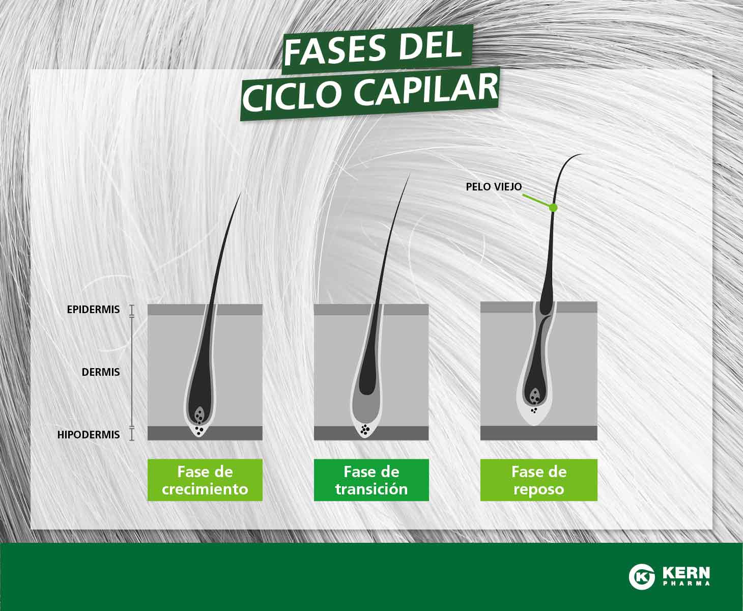 ¿Se cae más el pelo en primavera? | Kern Pharma